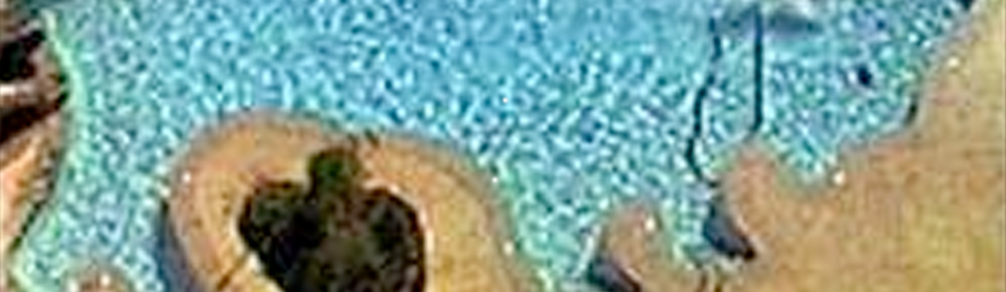 Buffalo Bills Hotel Pool - Information & Hours | Vegas.com