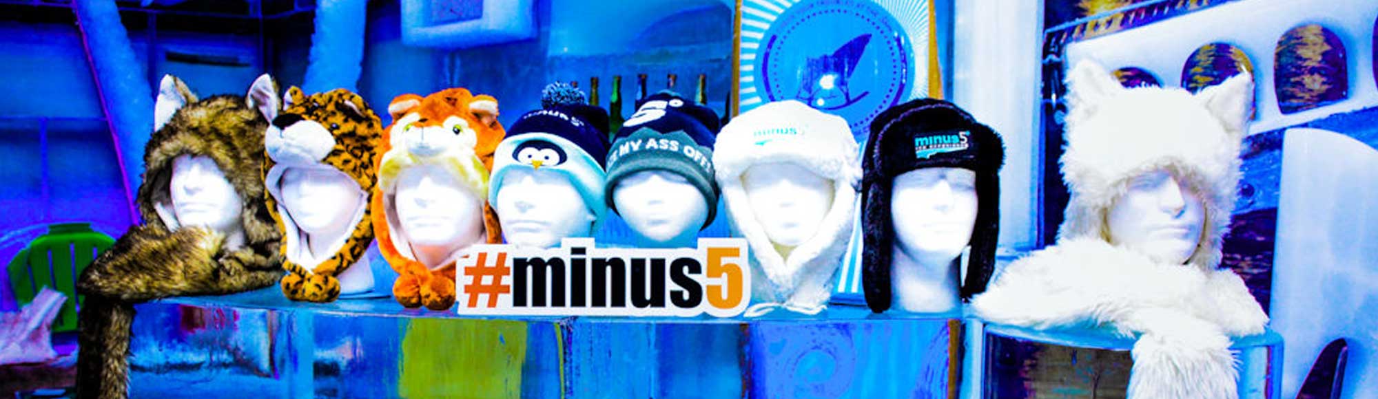 Minus5 Ice Experience at The Palazzo - Showtimes | Vegas.com