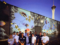 Tanked - Acrylic Tank Manufacturing | Vegas Day And Night