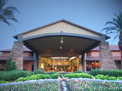 Alexis Park All Suite Resort Hotel in Las Vegas | Vegas.com