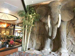 Elephant Bar Restaurant Dress Code